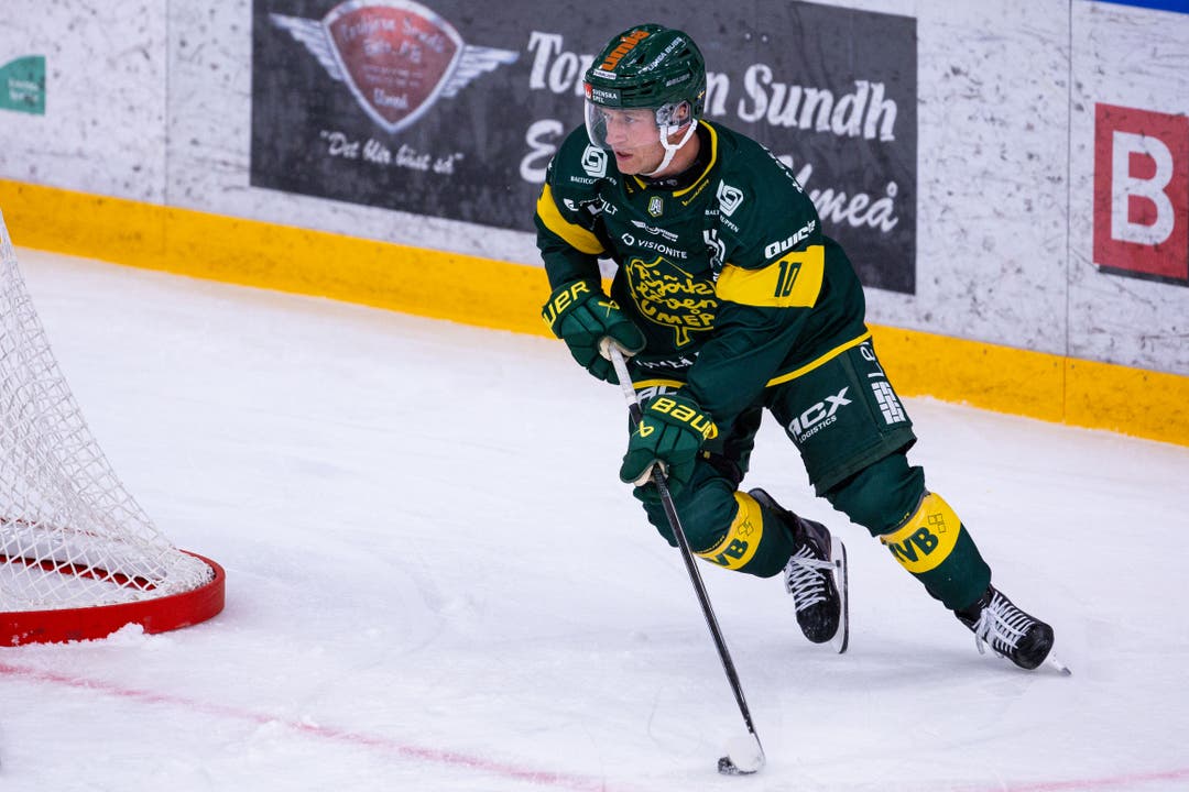 Så bra är Björklöven 25/26 – betyg på alla spelare - HockeyNews