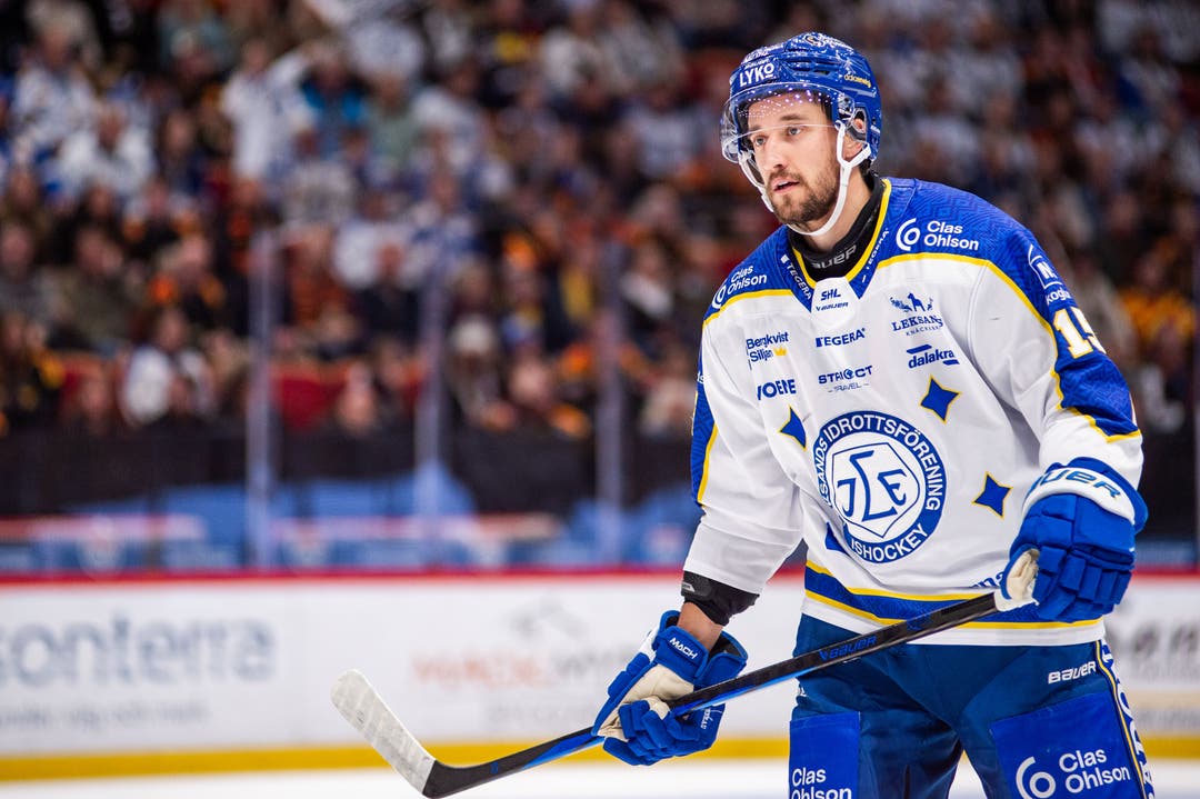 Linkan i Leksand – så tänker LIF-tränaren - HockeyNews