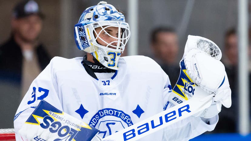 Bygget klart – så kan Leksand ställa upp - HockeyNews